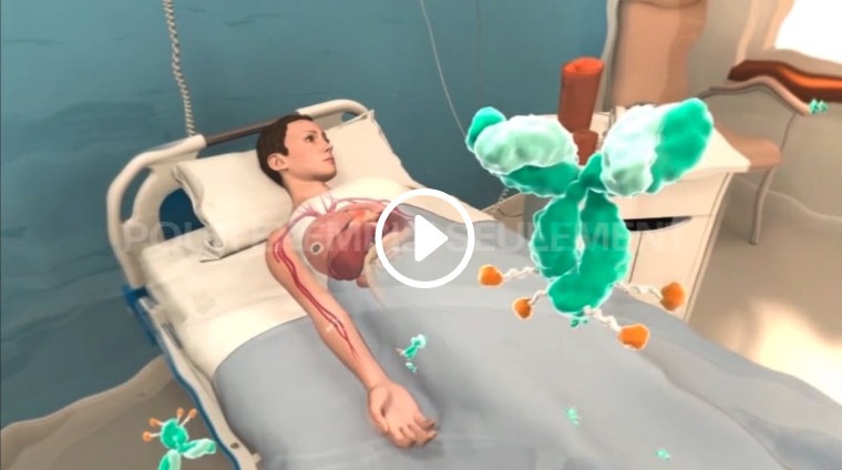 IMASCIENCE Scientific animations - 3D animation studio