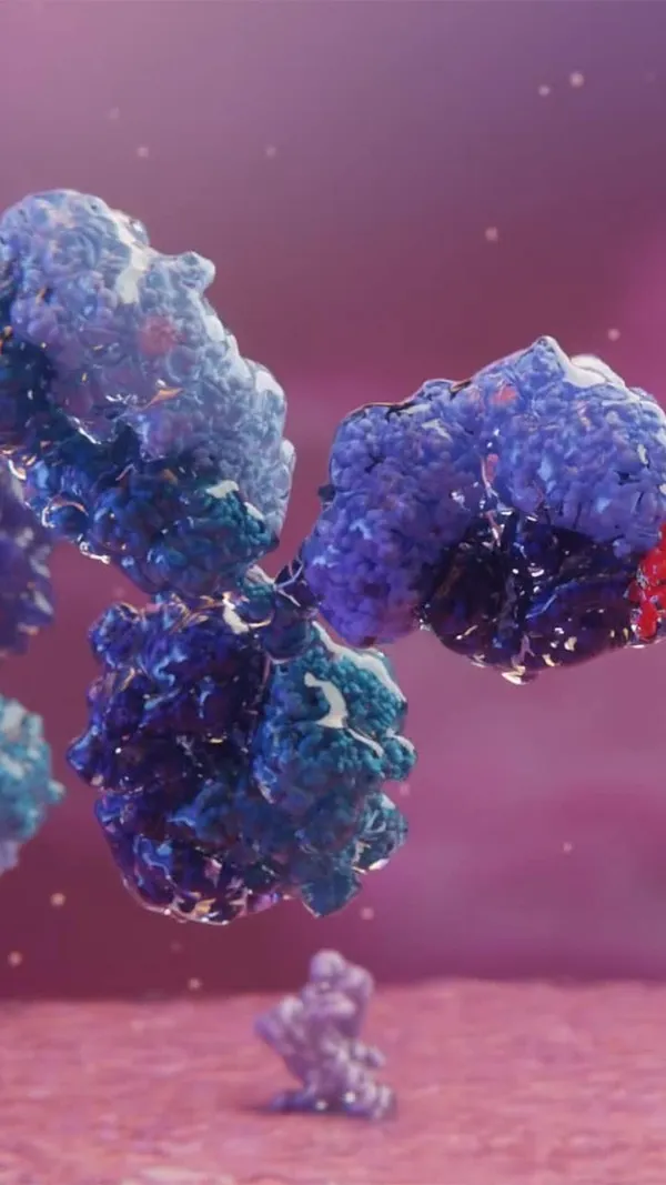 Imascience. Medical and scientific 3D images and animations.